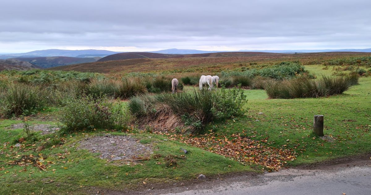 Long Mynd Ashes Hollow circular - Ramblers